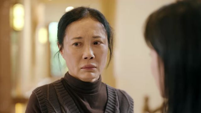 EP06: Rising from the Ashes - - China - TV - Family - Story - ShuaiZhao ...