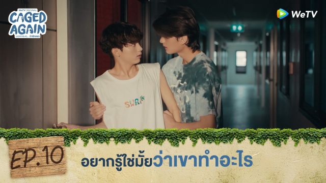 Highlight EP10 Ver.2 | Caged Again - Watch HD Video Online - iflix