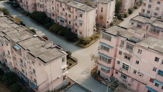 EP08: Reborn in 2000: Crush on My Deskmate - - China - TV - Fantasy ...