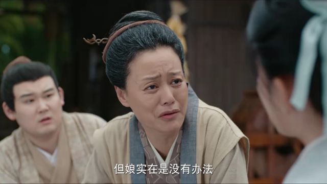 EP12: A Farmer's Fortune - - China - TV - Romance - Traditional Costume ...